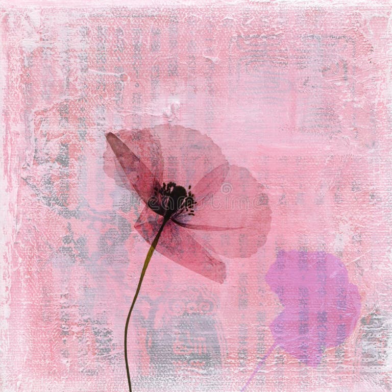 Pressed Flower Background Stock Illustrations – 4,326 Pressed Flower ...