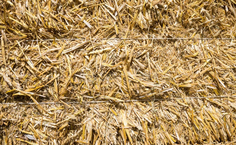 Pressed rye straw stock image. Image of canted, straw - 70678329