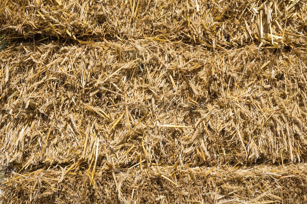 Pressed rye straw stock image. Image of compressed, golden - 70678357
