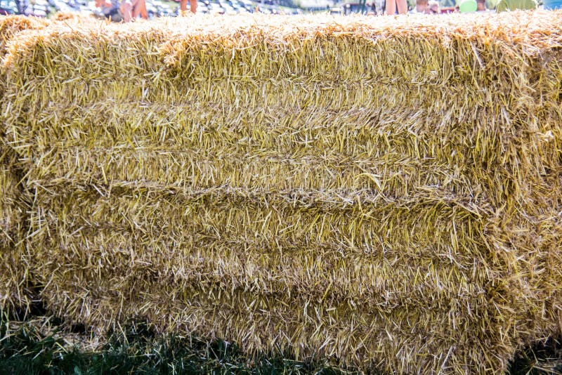 Pressed Straw Bales As a Winter Supply Stock Photo - Image of yellow ...
