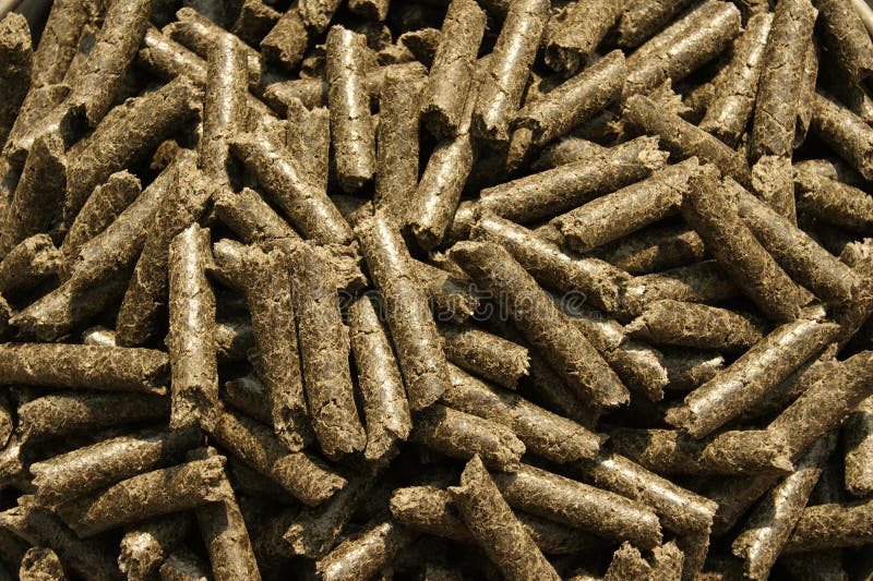 Pressed sunflower seed. stock photo. Image of seeds, market - 25469002