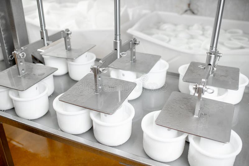 Pressing cheese stock photo. Image of business, male - 132608778