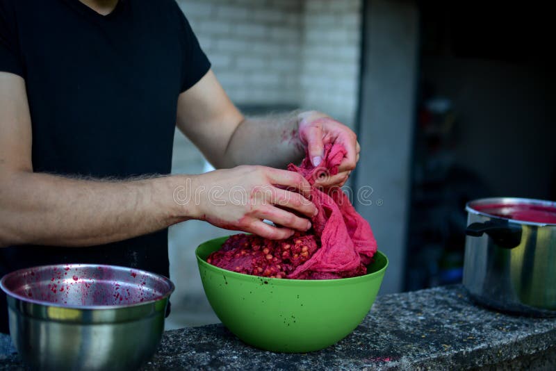 Pressing Cherries for Red Sweet Vine Stock Image - Image of production ...