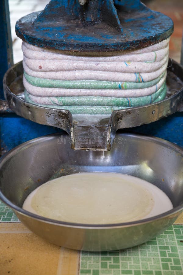 Pressing coconut stock photo. Image of milk, front, view - 27177932