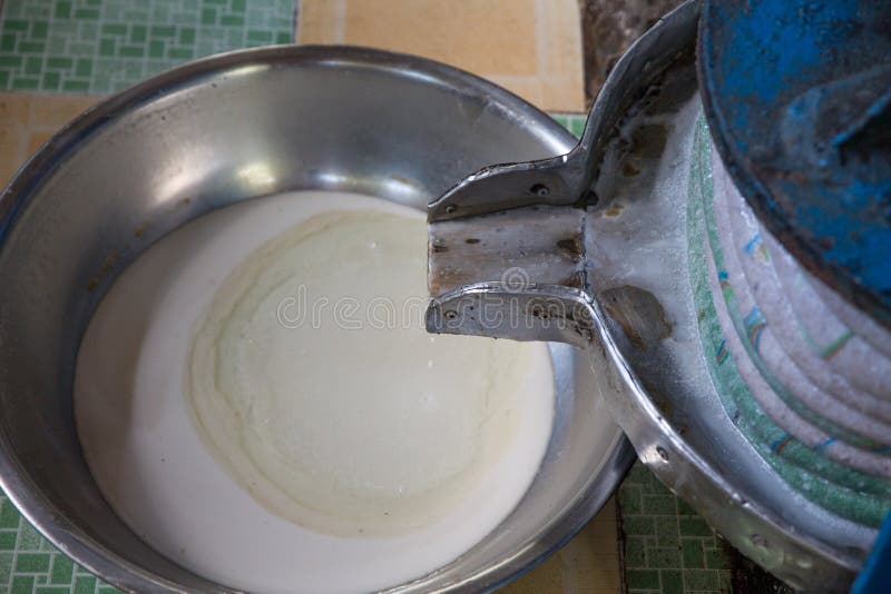 Pressing coconut stock photo. Image of closeup, view - 27381400