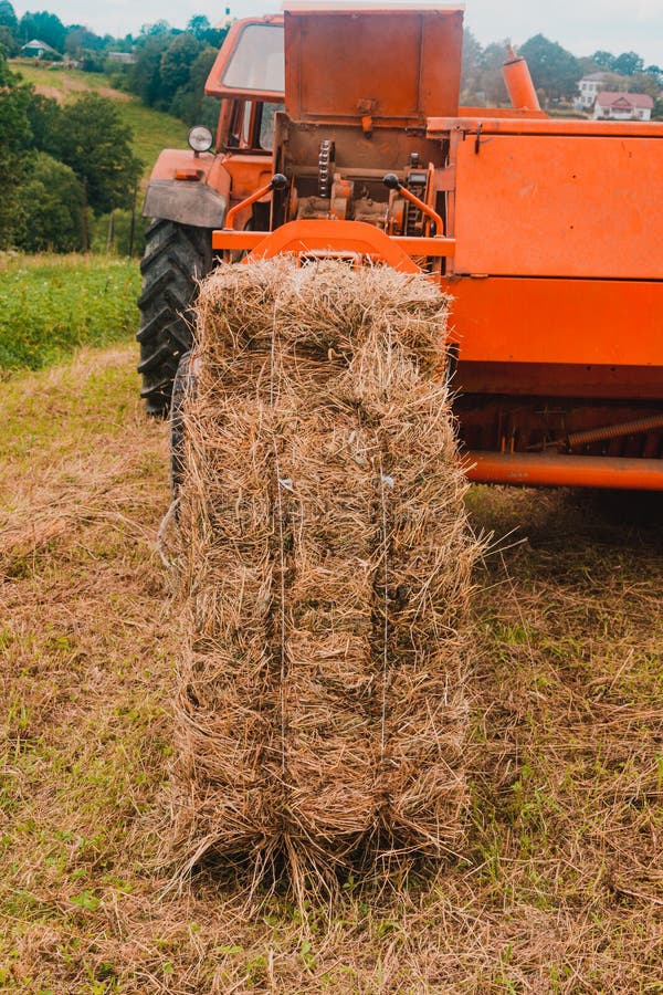 Pressing Hay into Bales, Old Working Press, Harvesting and Harvesting ...