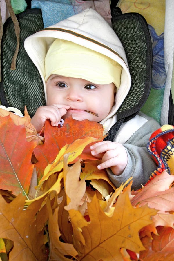 Pretty baby-fall walk. stock photo. Image of park, bugger - 11138910