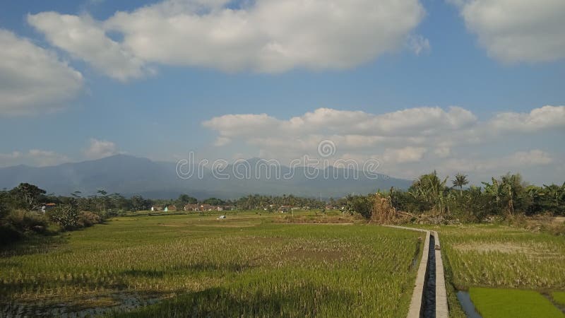 A Pretty and Beautiful Countryside and Rice Fields Stock Photo - Image ...