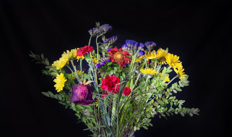 Pretty Bouquet of Flower Alone in the Dark Stock Image - Image of lost ...