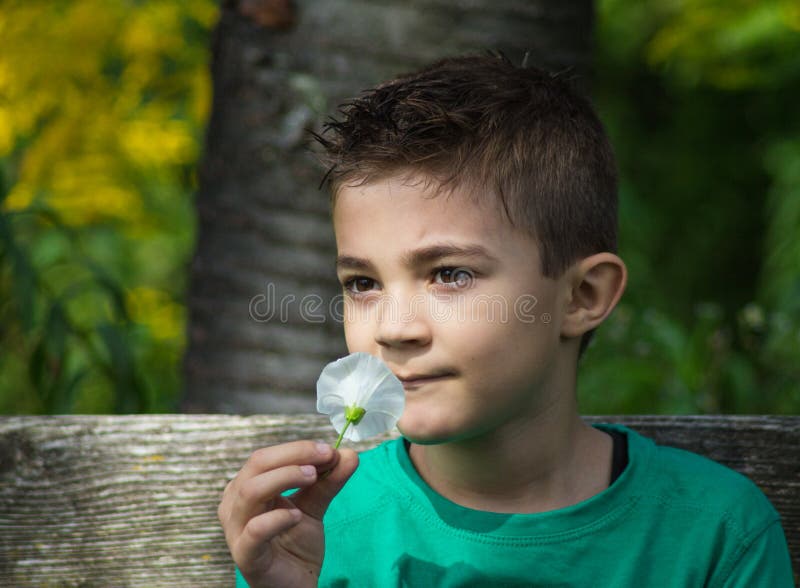Pretty boy stock image. Image of caucasian, handsome - 48452431