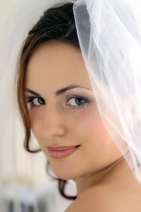 Pretty bride with veil stock image. Image of portrait - 4216435