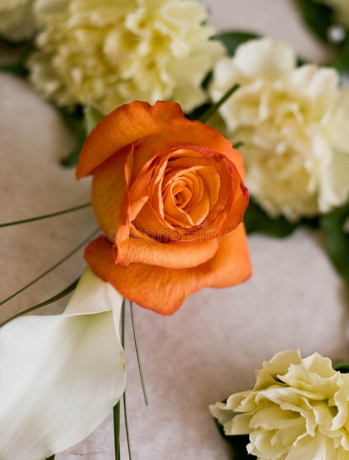 Pretty buttonhole stock photo. Image of boutonniere, table - 7703556