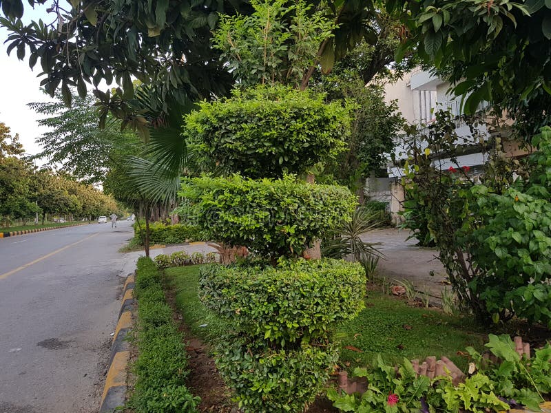 Pretty Design Cutted Bush is Near the House Stock Image - Image of ...
