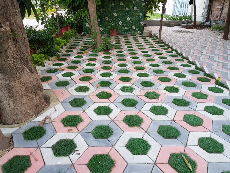 Pretty Design Walking Flour Stock Image - Image of design, green: 256221995