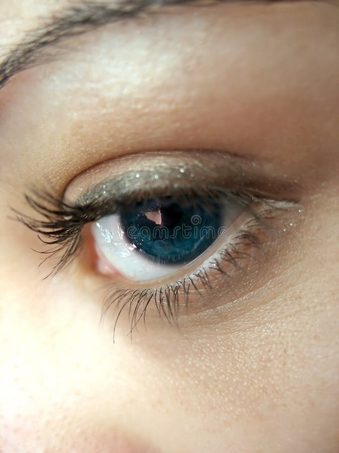 Macro Shot of Blue Eyes with Long Lashes Stock Photo - Image of ...