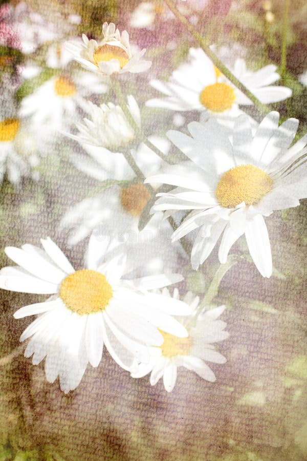 Pretty Floral, Textured Background Stock Image - Image of pollen ...