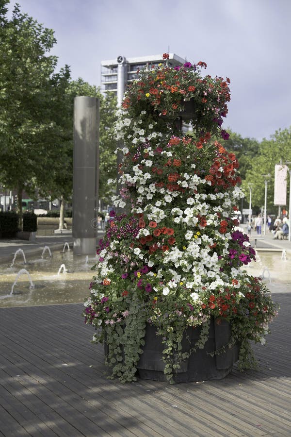 Pretty flower display stock photo. Image of bristol, leaves - 44261448