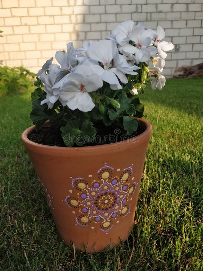 Dot art on a pot stock photo. Image of flowers, outdoor - 195592412