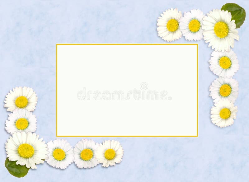 Pretty Frame Made of Green Branches and Leaves on White Background ...