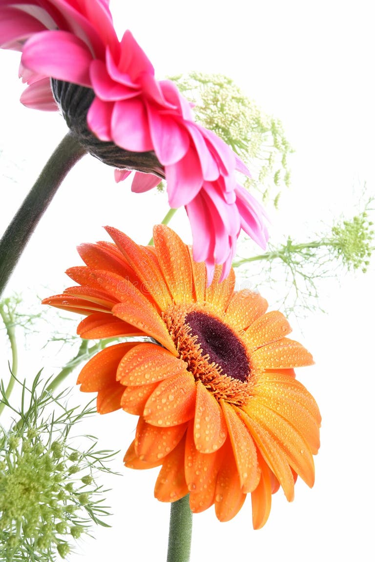 37,086 Flower Design Farm Stock Photos - Free & Royalty-Free Stock ...