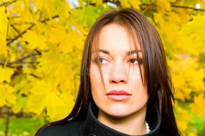 Pretty girl in autumn park stock image. Image of person - 17049993