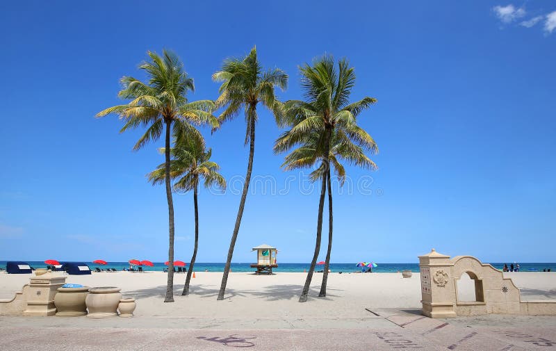 Pretty Hollywood Beach stock image. Image of palm, county - 155608505