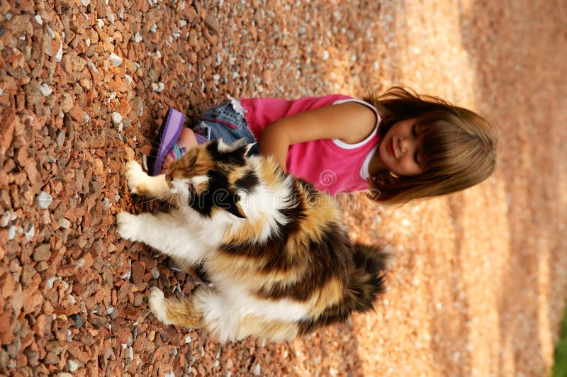 Pretty kitty stock image. Image of friendship, petting - 1679891