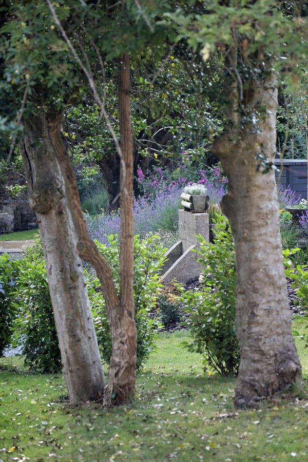 Pretty Lavender Gardens Seen through Trees Stock Image - Image of ...