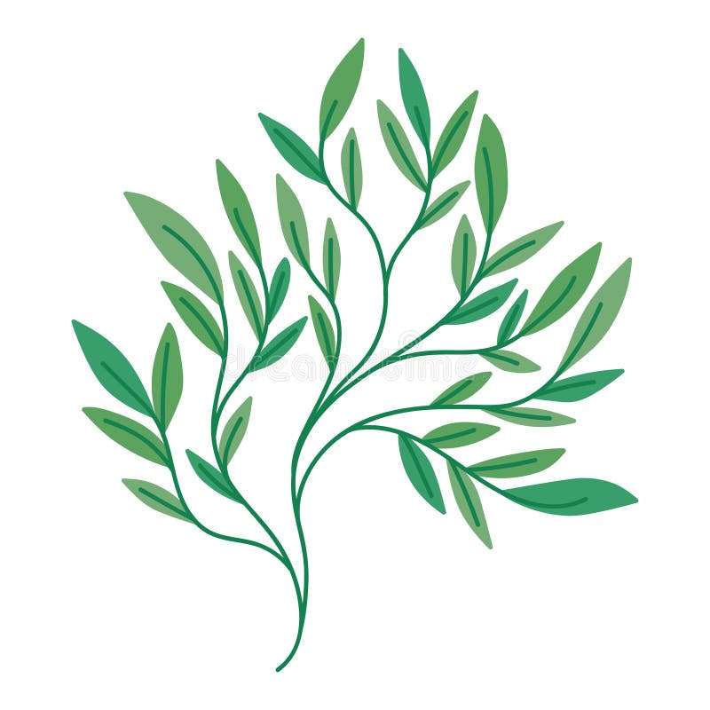 Pretty leaves branch stock vector. Illustration of nature - 229191018