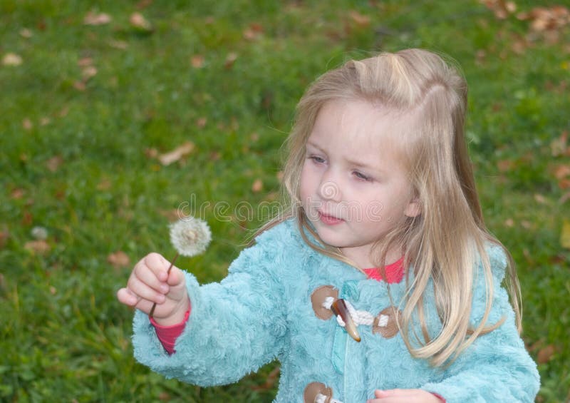 Pretty little girl stock image. Image of beauty, expression - 79561295