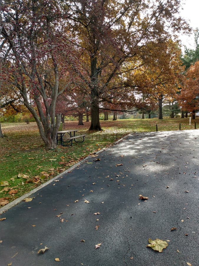 Pretty Park with Bridge stock image. Image of calm, architecture - 6232361