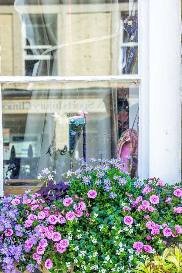 Pretty Pink and Violet Flowers at the Window Stock Photo - Image of ...