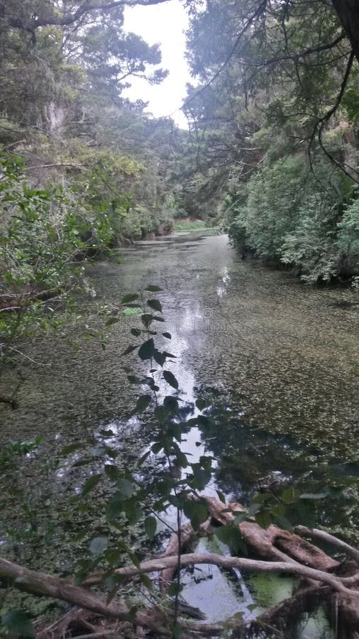 Pretty River with Large Rocks on Its Banks in Italy Stock Photo - Image ...