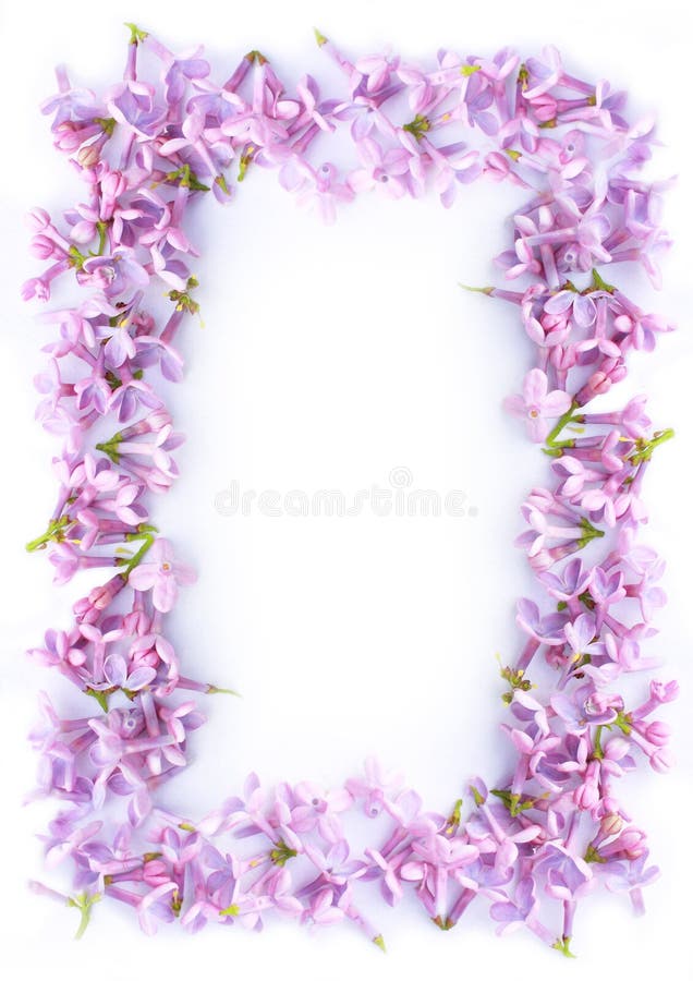 Pretty Romantic Lilac Frame Stock Photo - Image of flora, fragrant ...