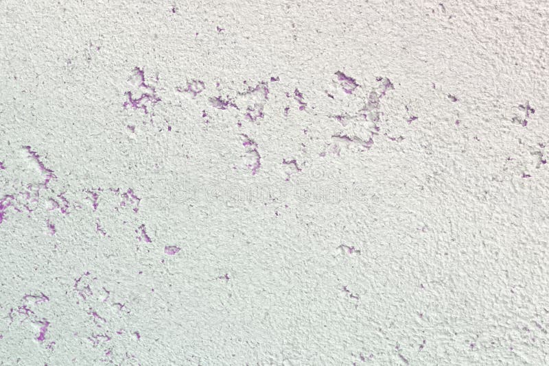 Pretty Shabby Limestone Texture for Any Purposes Stock Photo - Image of ...