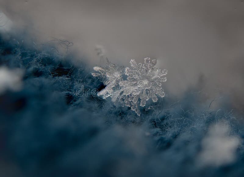 A Pretty Snowflake Macro stock photo. Image of design - 162228630