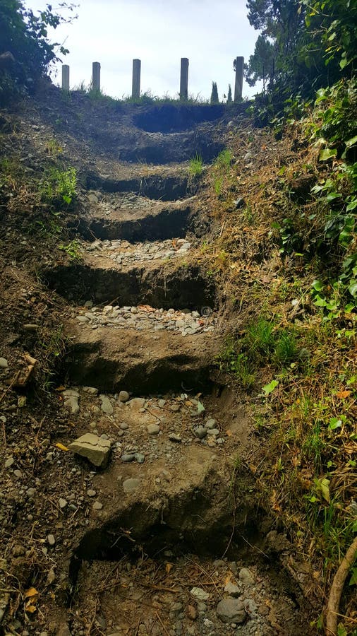 Pretty Step through the River Stock Image - Image of plant, river ...