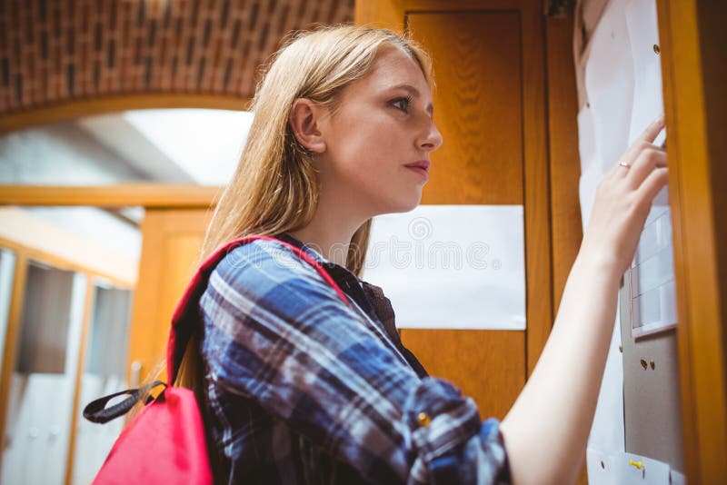 Student Reading Notice Board Stock Photos - Free & Royalty-Free Stock ...