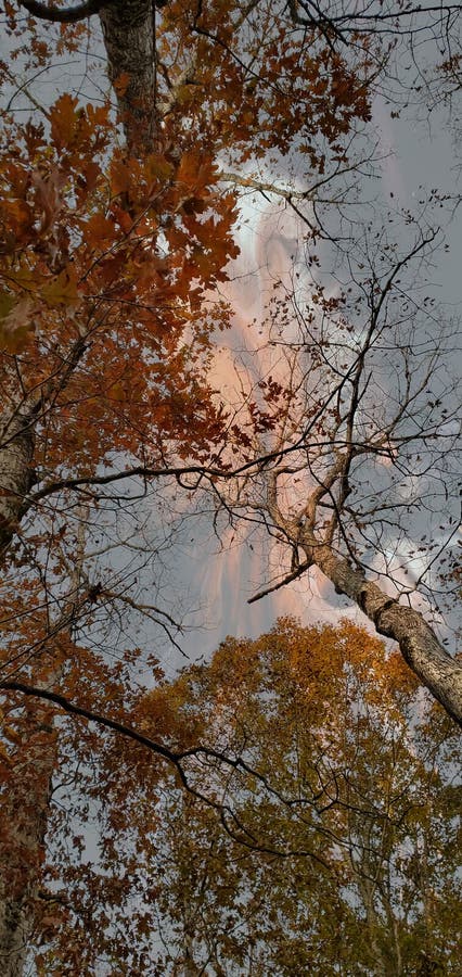 Pretty Tree Fall Sky Scenery Stock Photo - Image of scenery, tree ...