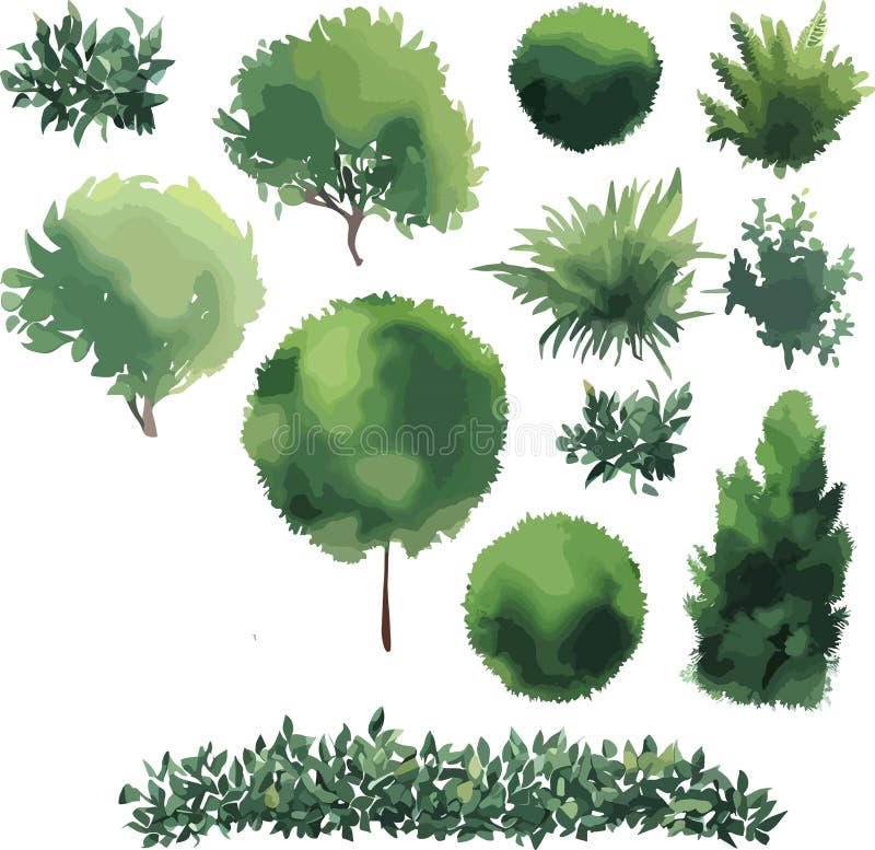 Pretty Trees Bushes Shrubs Top View Vector Stock Vector - Illustration ...