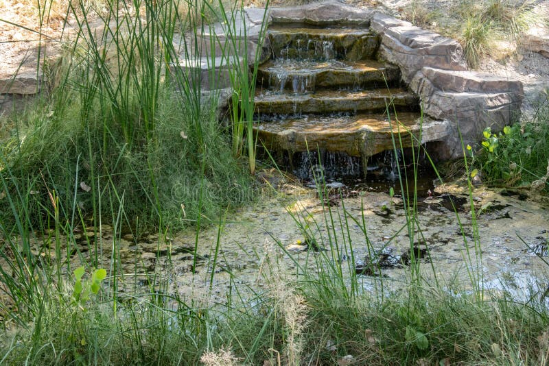 Pretty Waterfall in the Desert Stock Photo - Image of grass, beauty ...