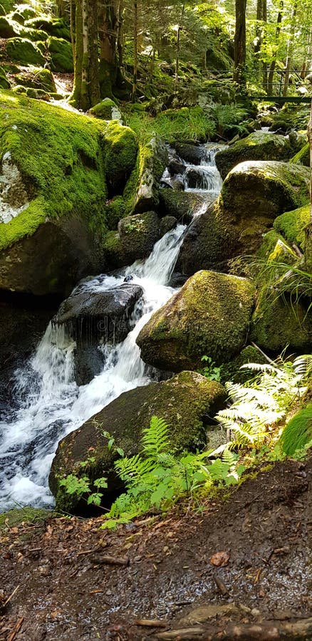 Pretty Waterfall in the Forest Stock Image - Image of middle, landscape ...
