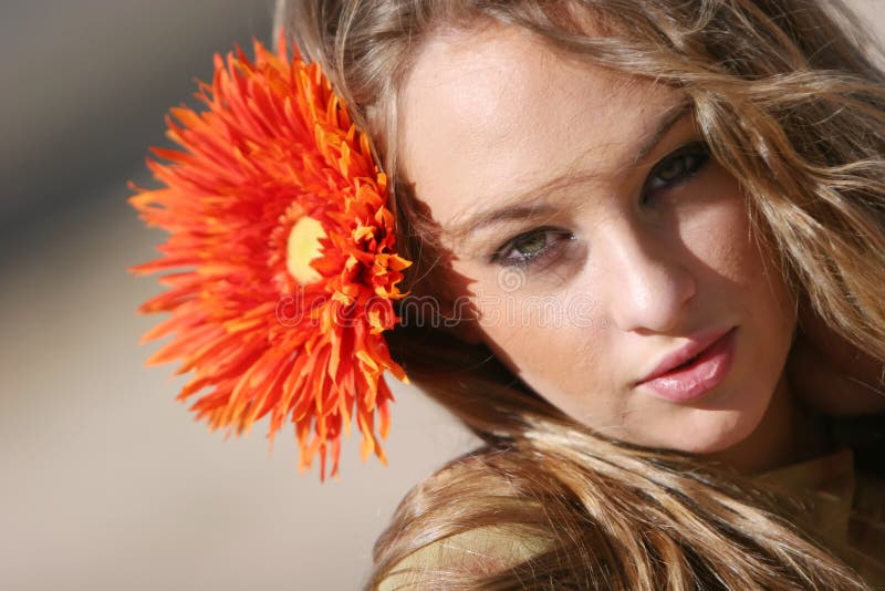 Pretty woman with daisy stock photo. Image of lovely, long - 2097760