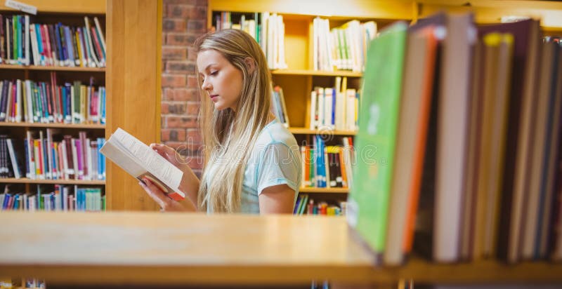 Pretty Young Blonde Reading Book Stock Image - Image of student, female ...