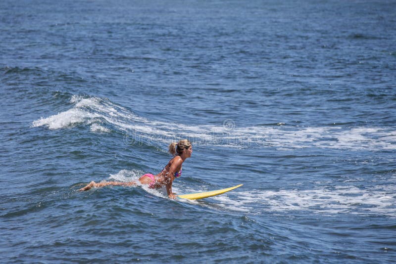 Pretty Young Woman on a Surfboard Stock Image - Image of surfboarding ...