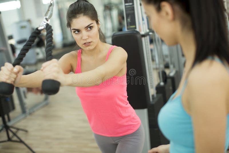 Pretty Young Women Training in the Gym Stock Image - Image of machine ...