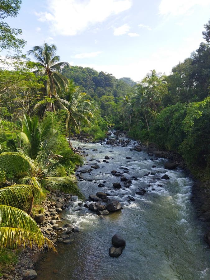 Prety River stock image. Image of coconut, stone, river - 269375163