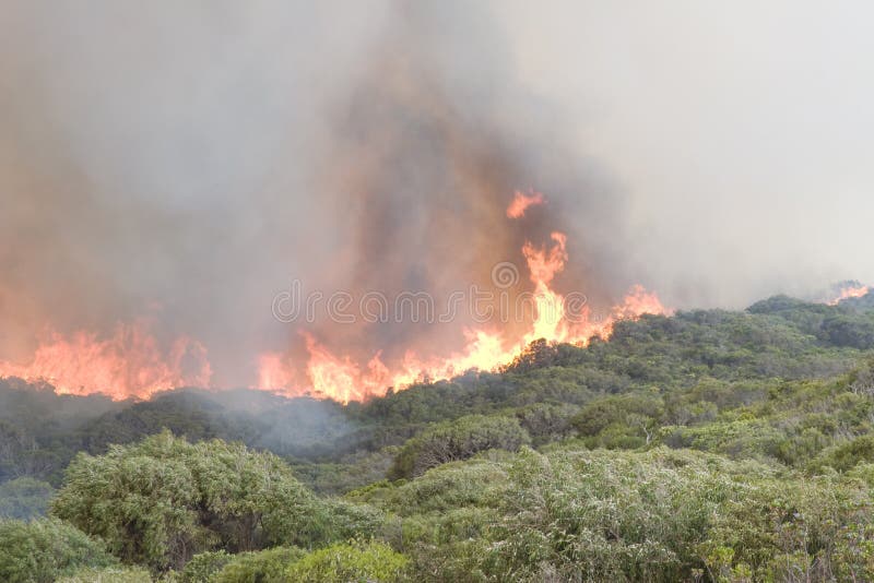 Prevelly Beach Bushfire editorial stock image. Image of housing - 11518019