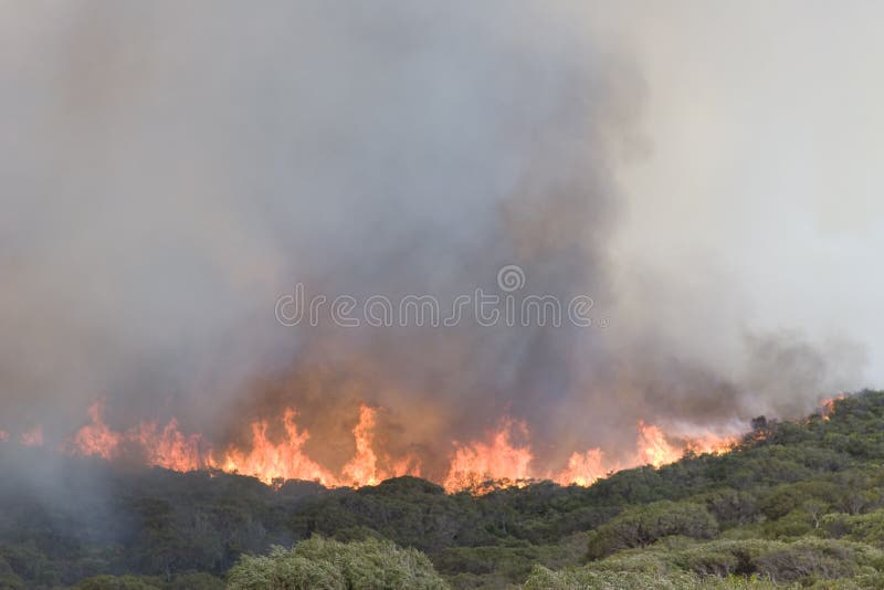 Prevelly Beach Bushfire editorial stock image. Image of bushfire - 11518029