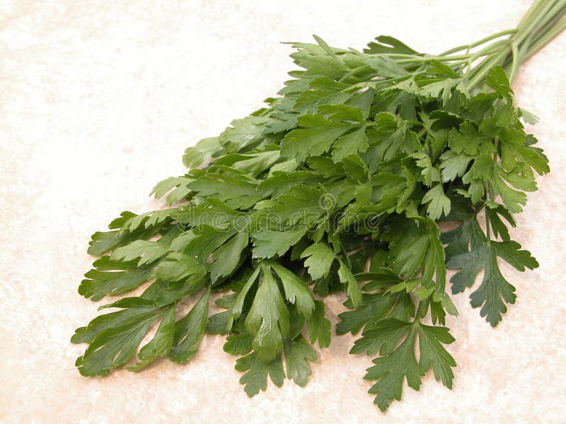 Prezzemolo immagine stock. Immagine di salute, fresco, mazzo - 936665